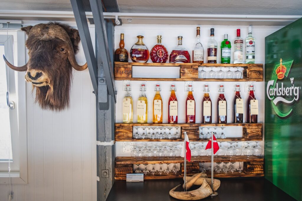 Albatros Arctic Circle - Destination Arctic Circle