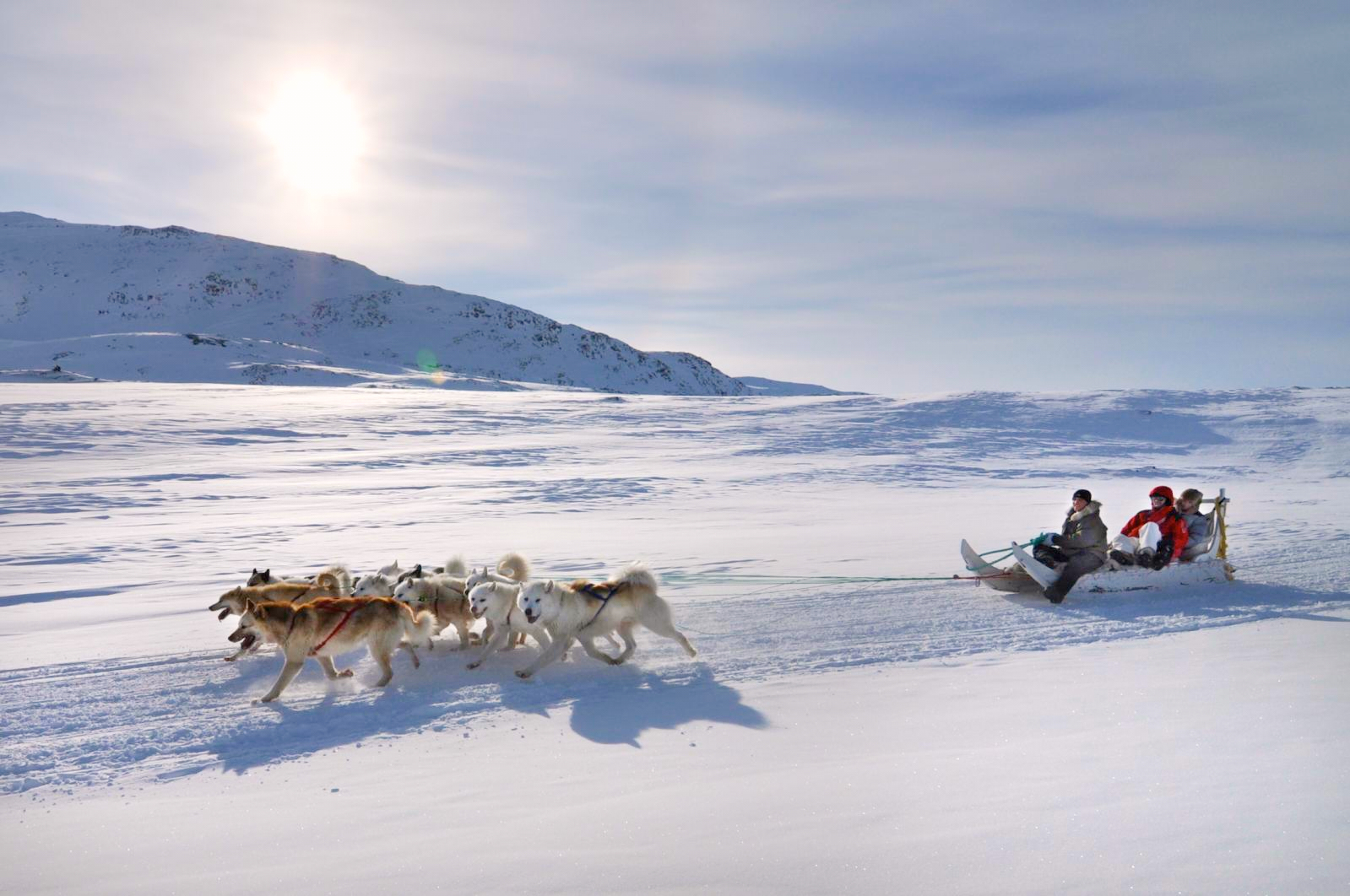 Dog sledding - Destination Arctic Circle